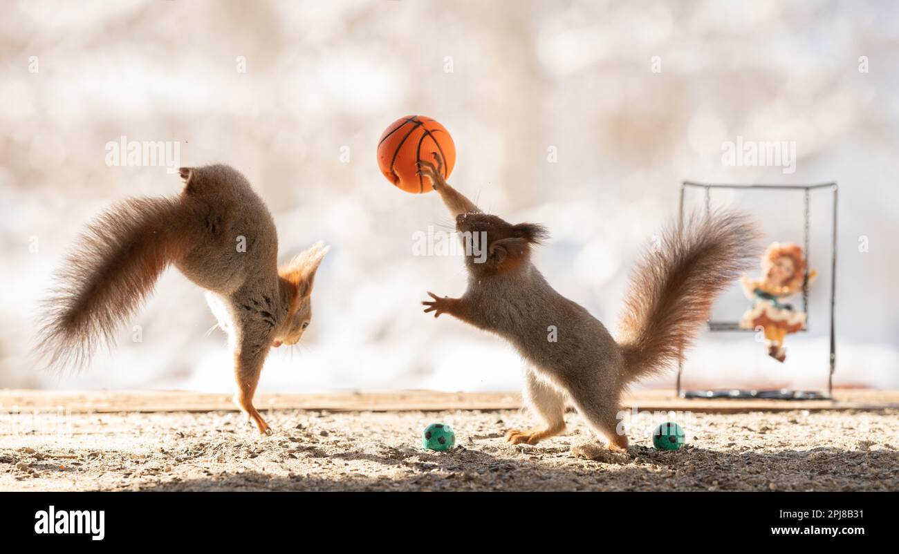 Score keeper for basketball hi-res stock photography and images - Alamy