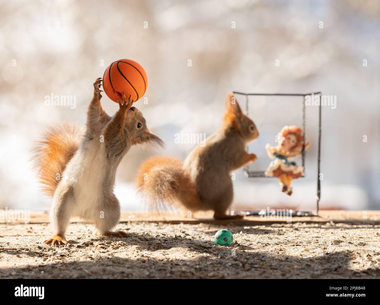 Score keeper for basketball hi-res stock photography and images - Alamy