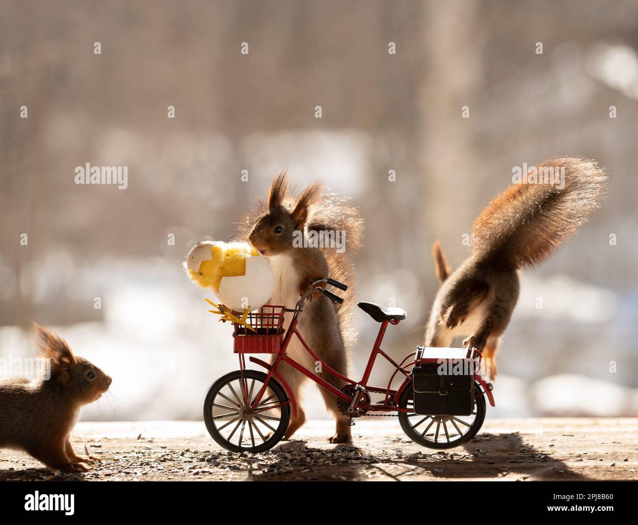 Humour and fun hi-res stock photography and images - Alamy