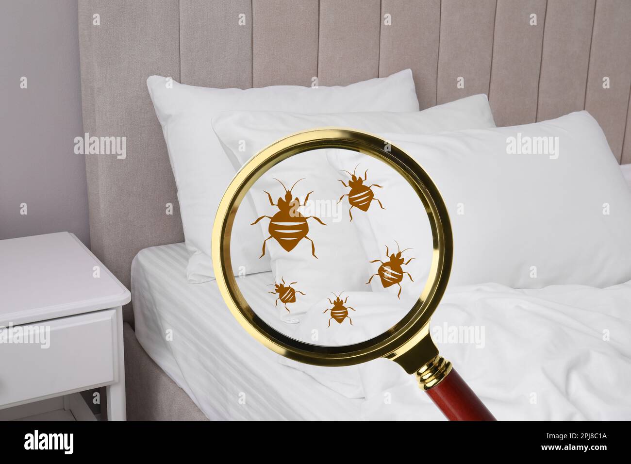 Magnifying glass detecting bed bugs in bedroom, closeup view Stock ...