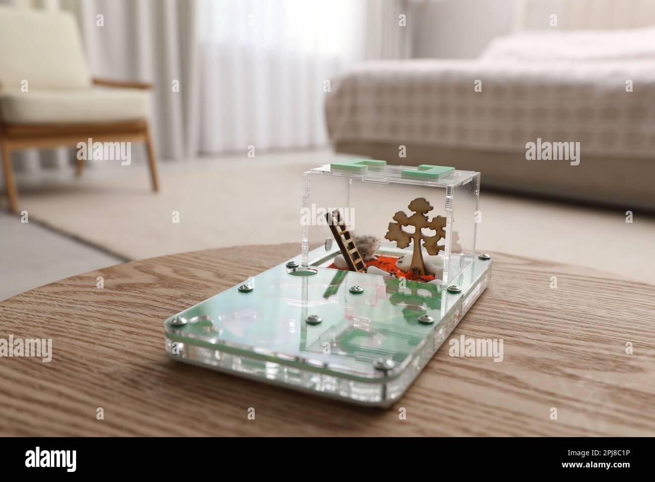 Ant colony artificial hi-res stock photography and images - Alamy