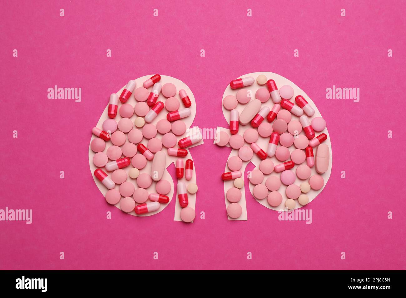 Paper cutout of kidneys with pills on magenta background, top view ...