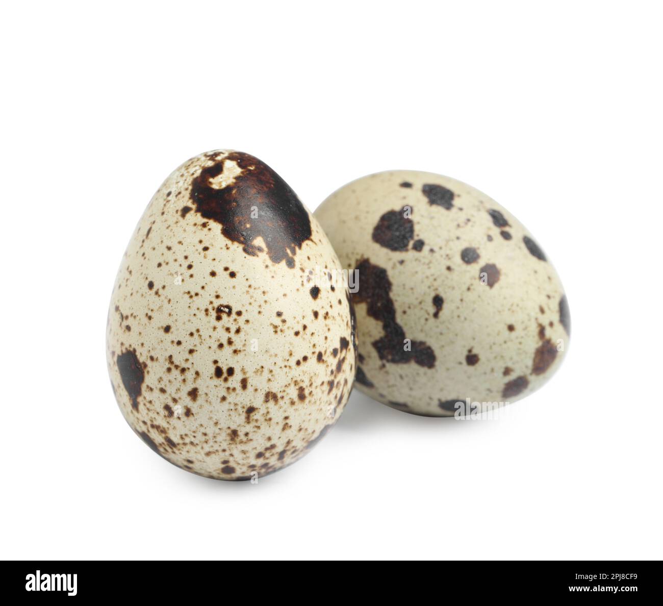 Two beautiful quail eggs on white background Stock Photo - Alamy