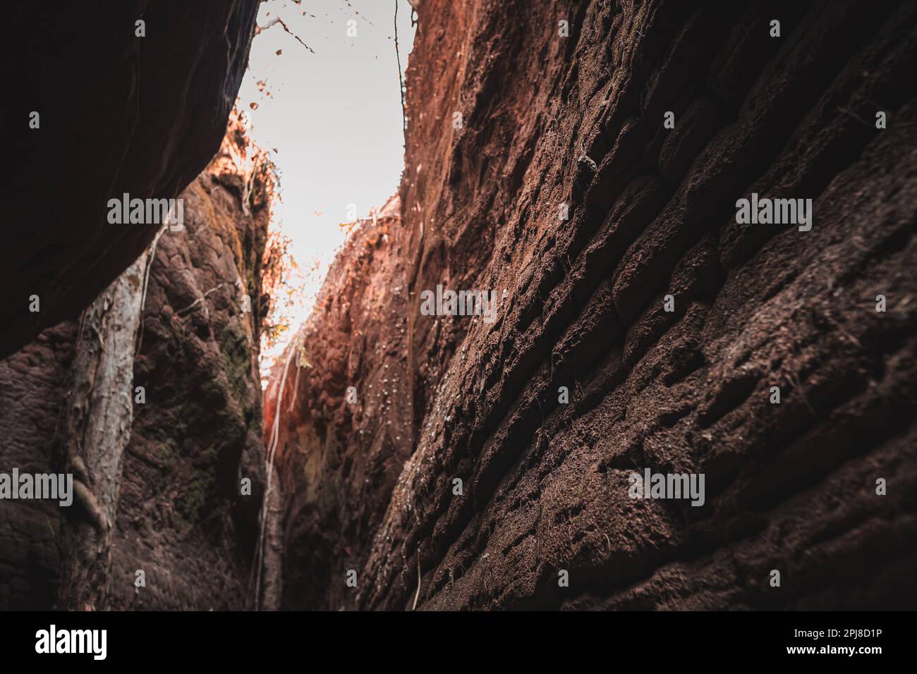 Naka cave giant snake scale stone. in the Phu Langka national park ...