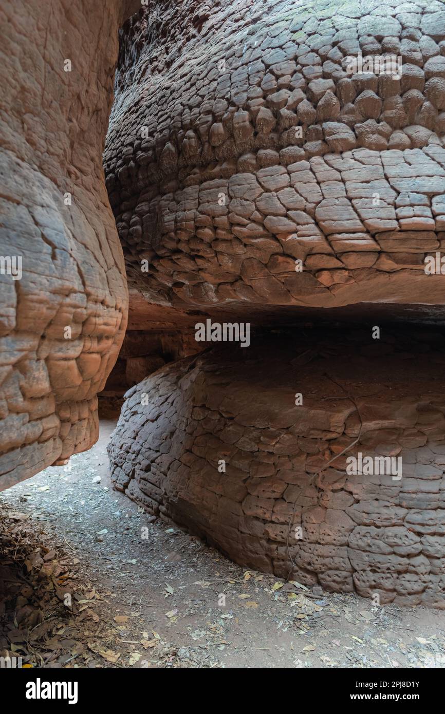 Naka cave giant snake scale stone. in the Phu Langka national park ...