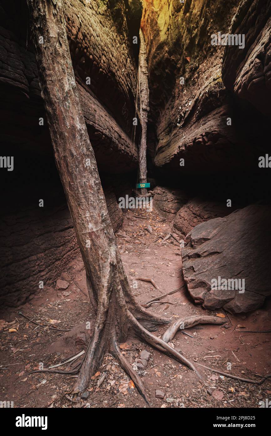 Naka cave giant snake scale stone. in the Phu Langka national park ...