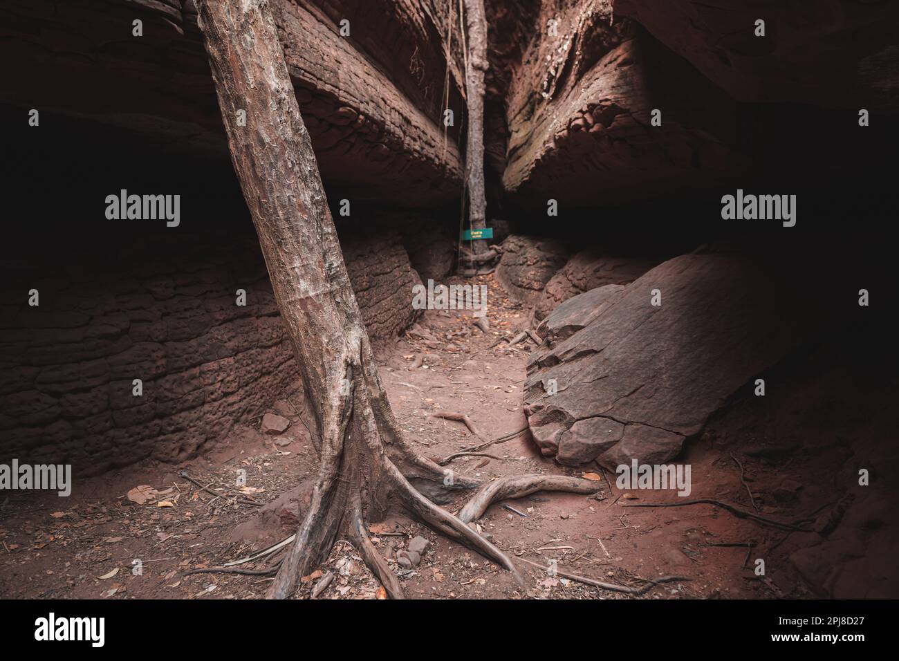 Naka cave giant snake scale stone. in the Phu Langka national park ...