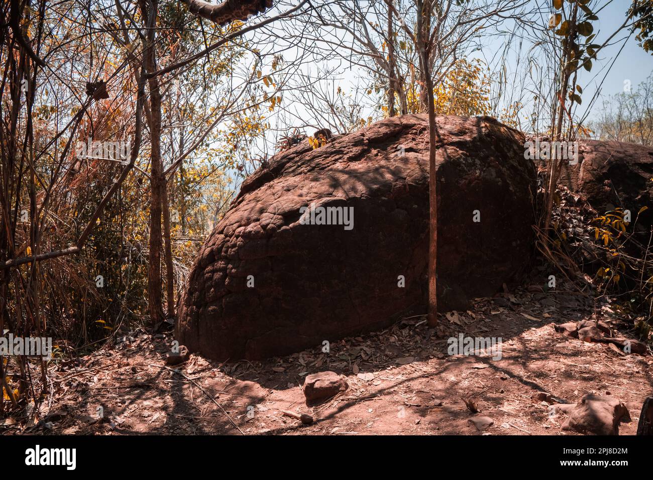 Naka cave giant snake scale stone. in the Phu Langka national park ...