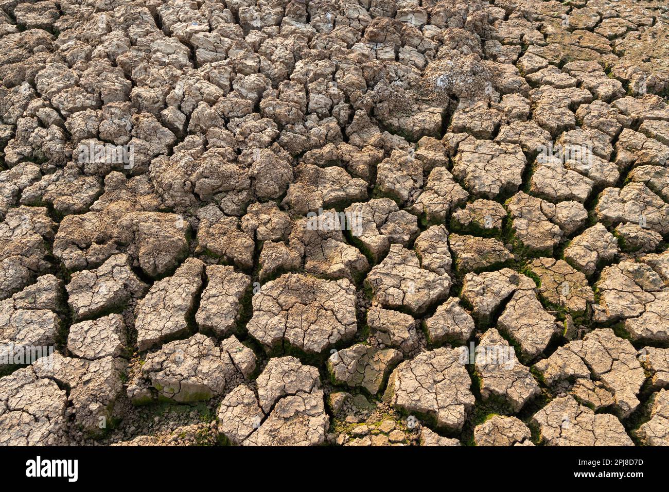 Dry water crisis deep cracks land symbolize hot weather and drought ...