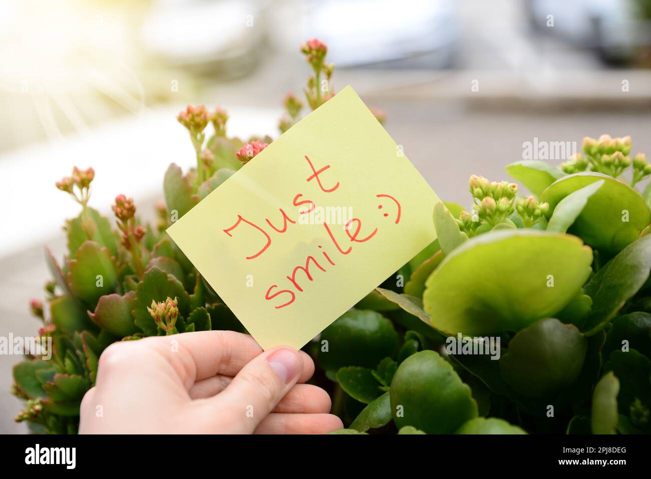 Woman holding paper note with handwritten text Just smile near ...