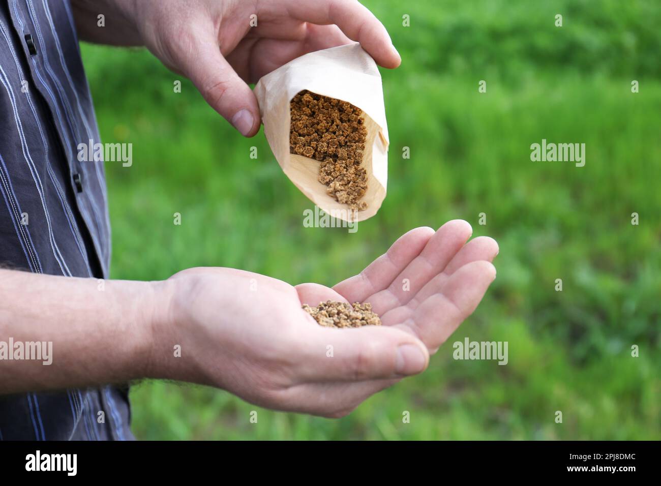 Hand packet pouring seeds hi-res stock photography and images - Alamy