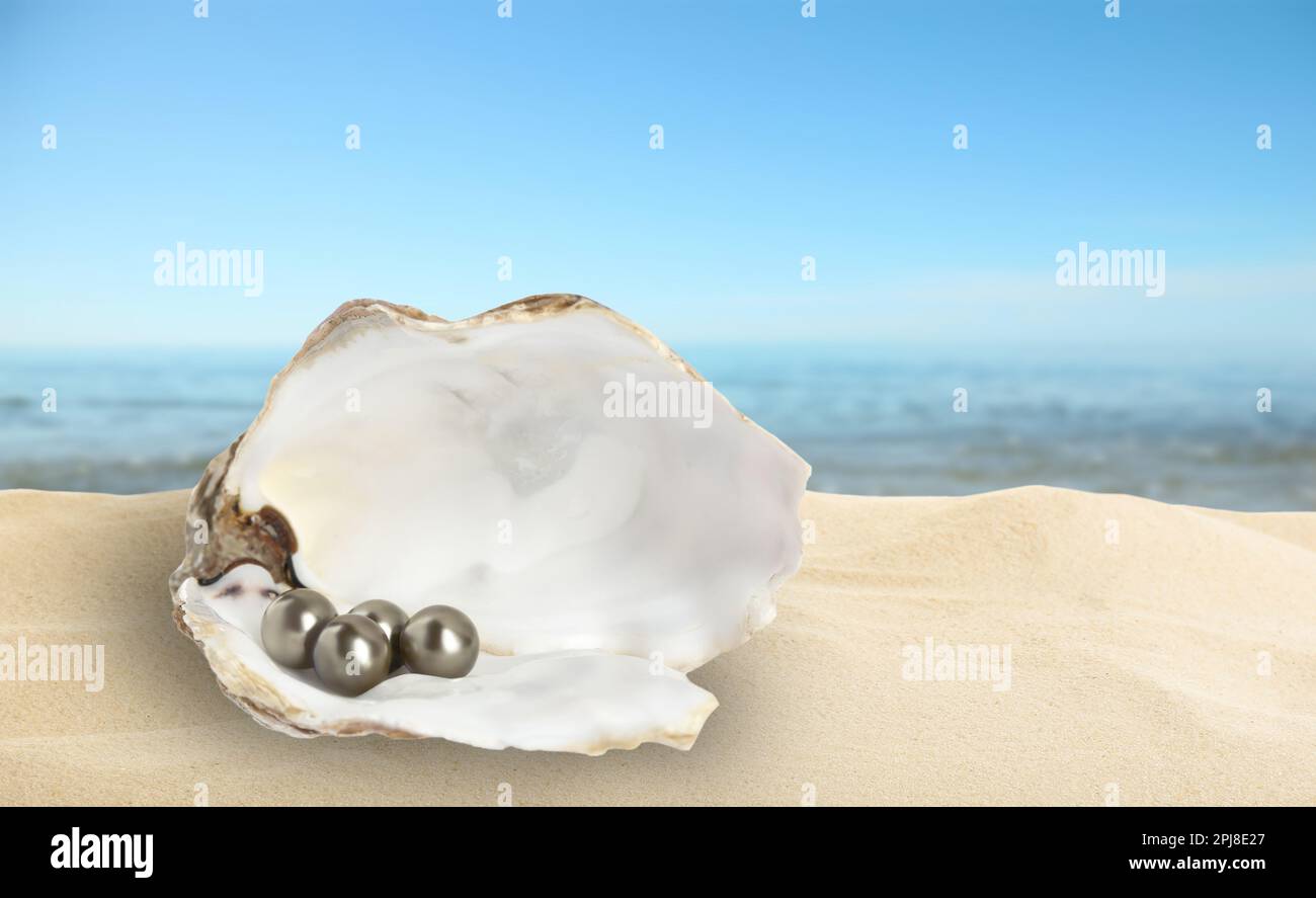 Open oyster shell with black pearls on sandy beach near sea Stock Photo ...