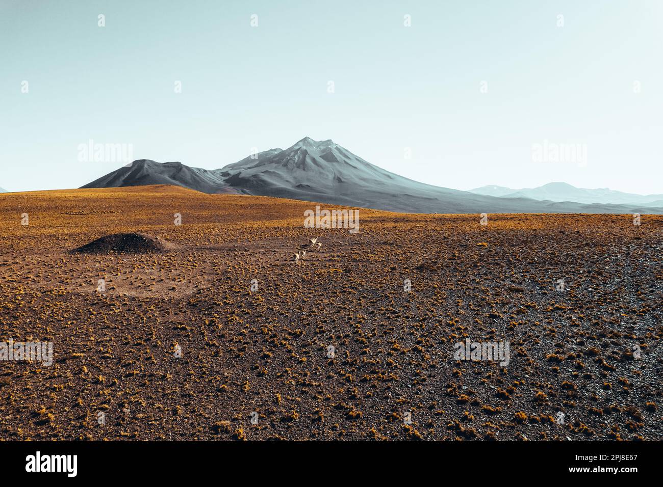 Car in front of Volcanic mountains in San Pedro de Atacama Chile Stock ...