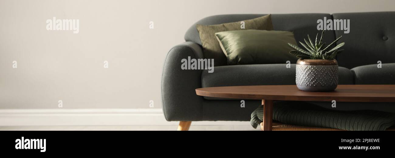 Stylish comfortable sofa in room, space for text. Banner design Stock ...