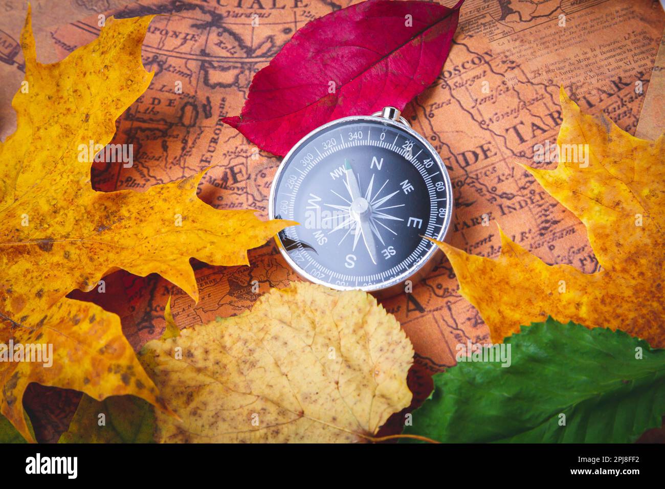 Traveler's compass on map in bright multi-colored autumn leaves ...
