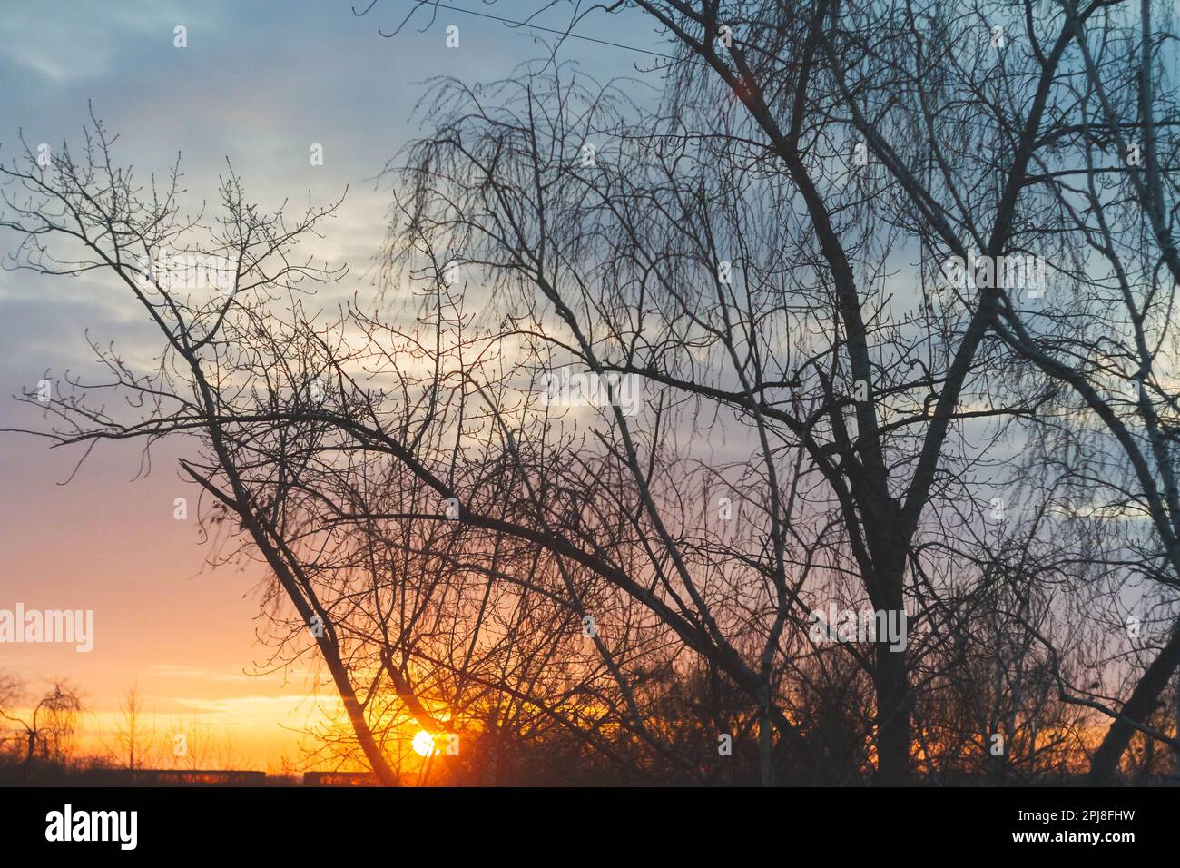 Beautiful morning dawn in spring. Fantastic dawn of the spring sun. Red ...