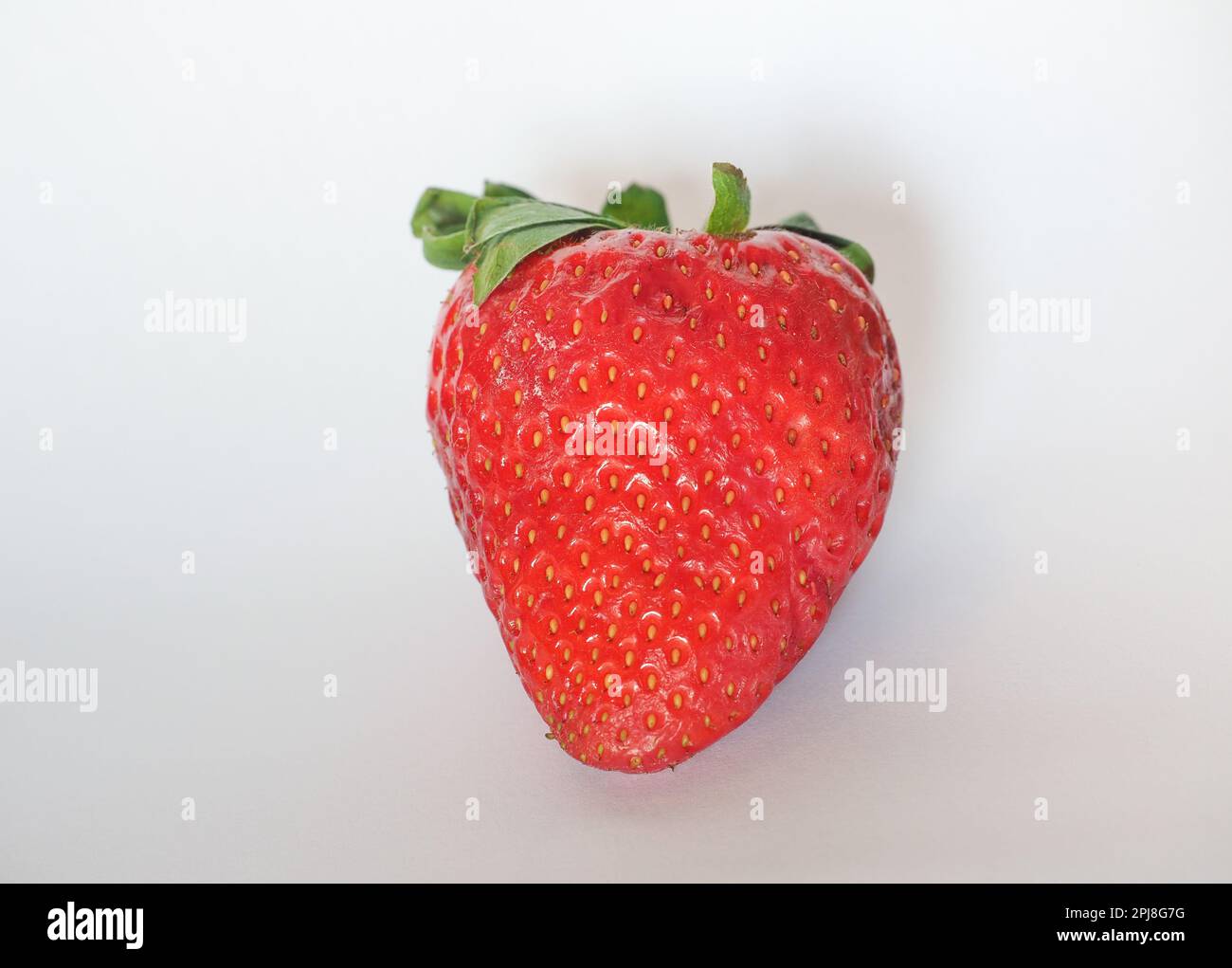 red strawberry over off white background with copy space Stock Photo ...