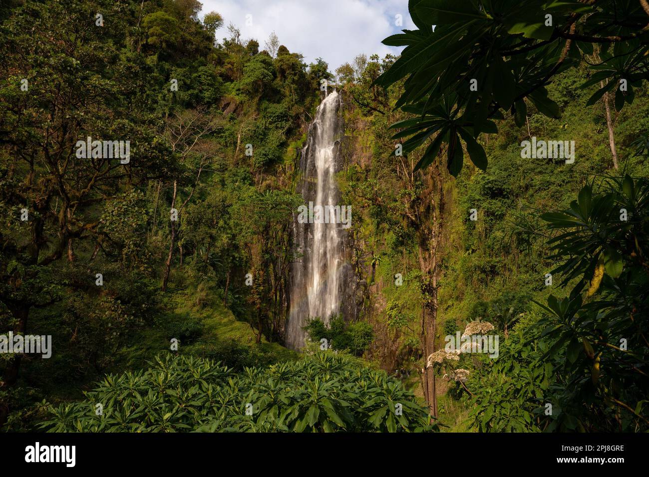 Kilimanjaro tanzania waterfall hi-res stock photography and images - Alamy