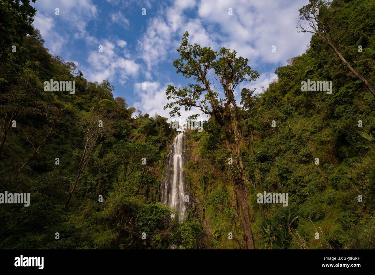 A sunlit waterfall on the jungle covered slopes of mount Kilimanjaro ...