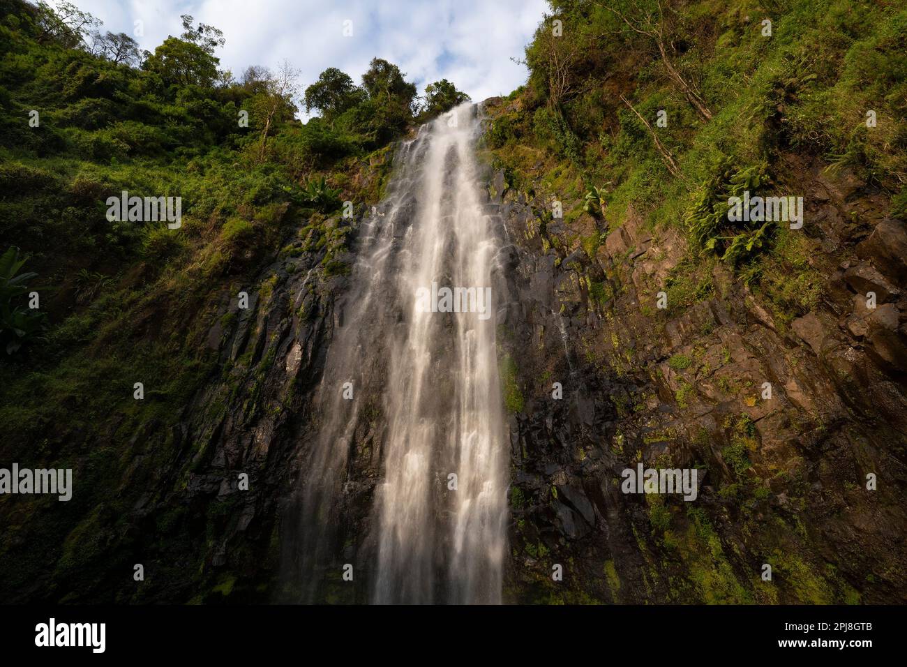 A sunlit waterfall on the jungle covered slopes of mount Kilimanjaro ...