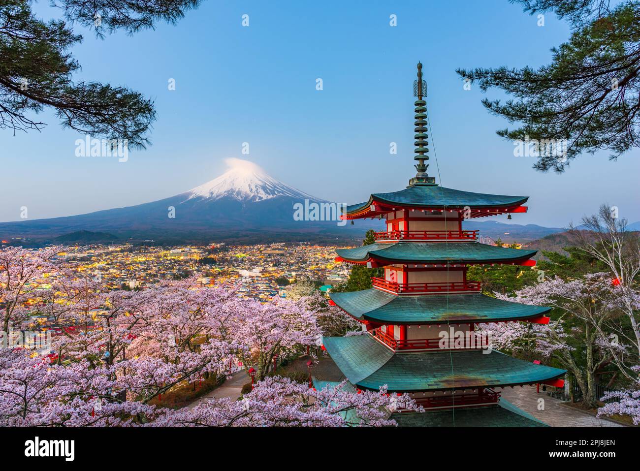 Fujiyoshida, Japan at Chureito Pagoda and Mt. Fuji in the spring with ...