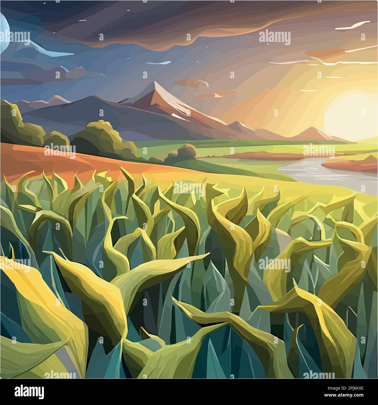 American corn field Stock Vector Images - Alamy