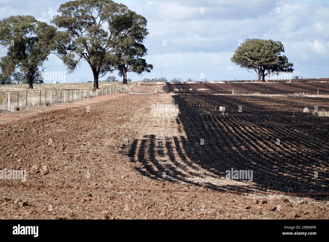 Various landscape Pictures of the burnt stubble in a paddock in ...