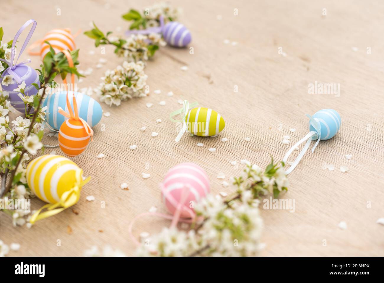 A Easter egg on a branch of a blooming cherry tree. Easter spring ...