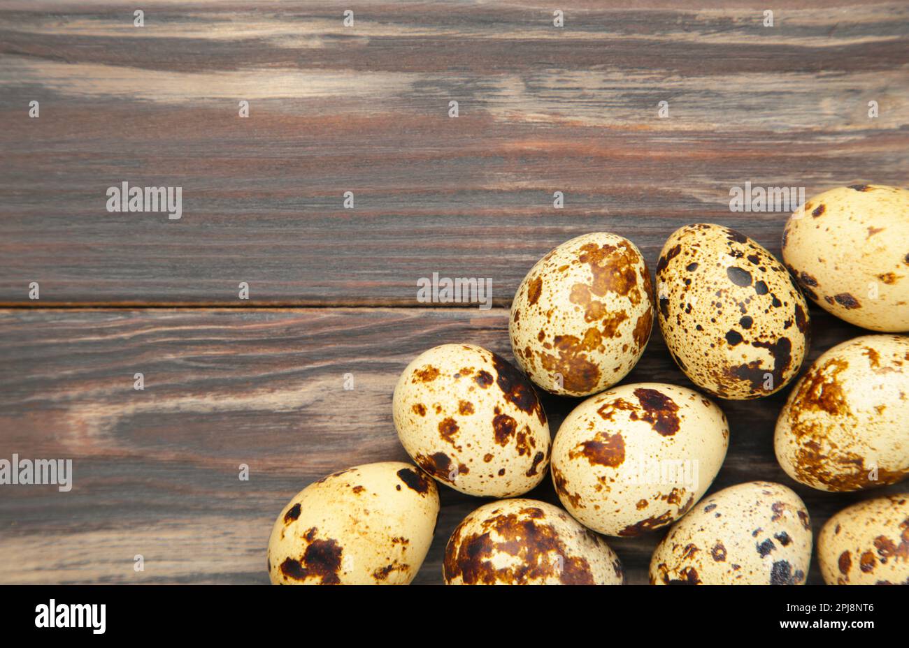 Top view mottled quail hi-res stock photography and images - Alamy