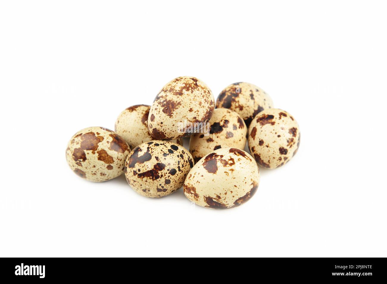 Top view mottled quail hi-res stock photography and images - Alamy