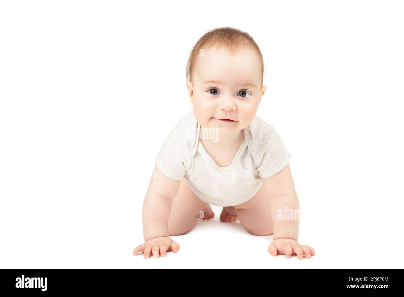 Funny crawling baby girl isolated on white background. Topview Stock ...