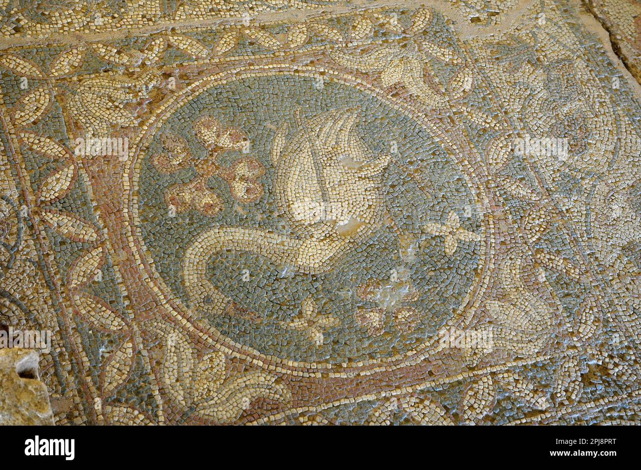 Soli Ruins, located in the city of Guzelyurt, Cyprus, is an ancient ...