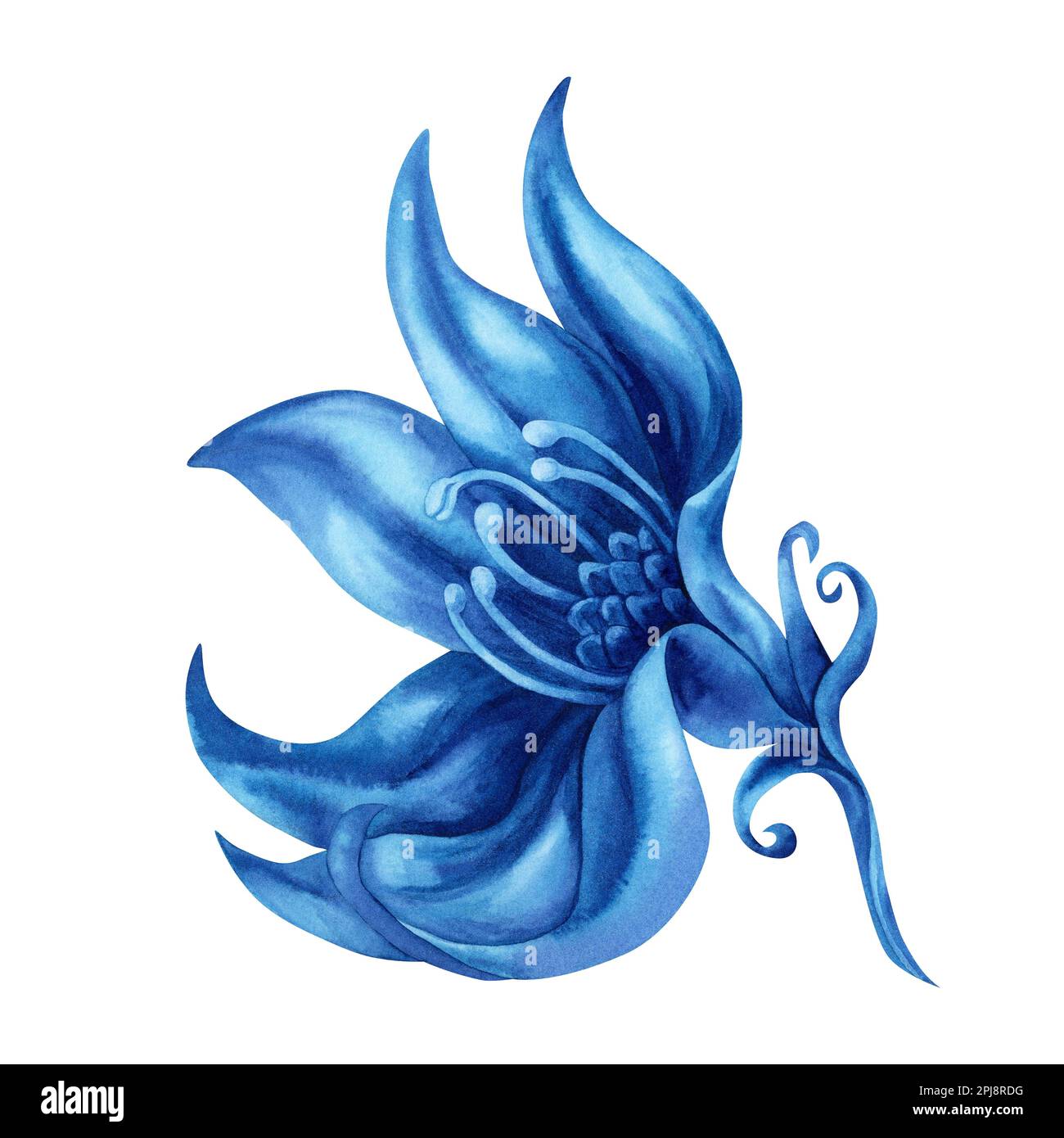 Hand-drawn watercolor illustration of abstract blue magic flower for ...