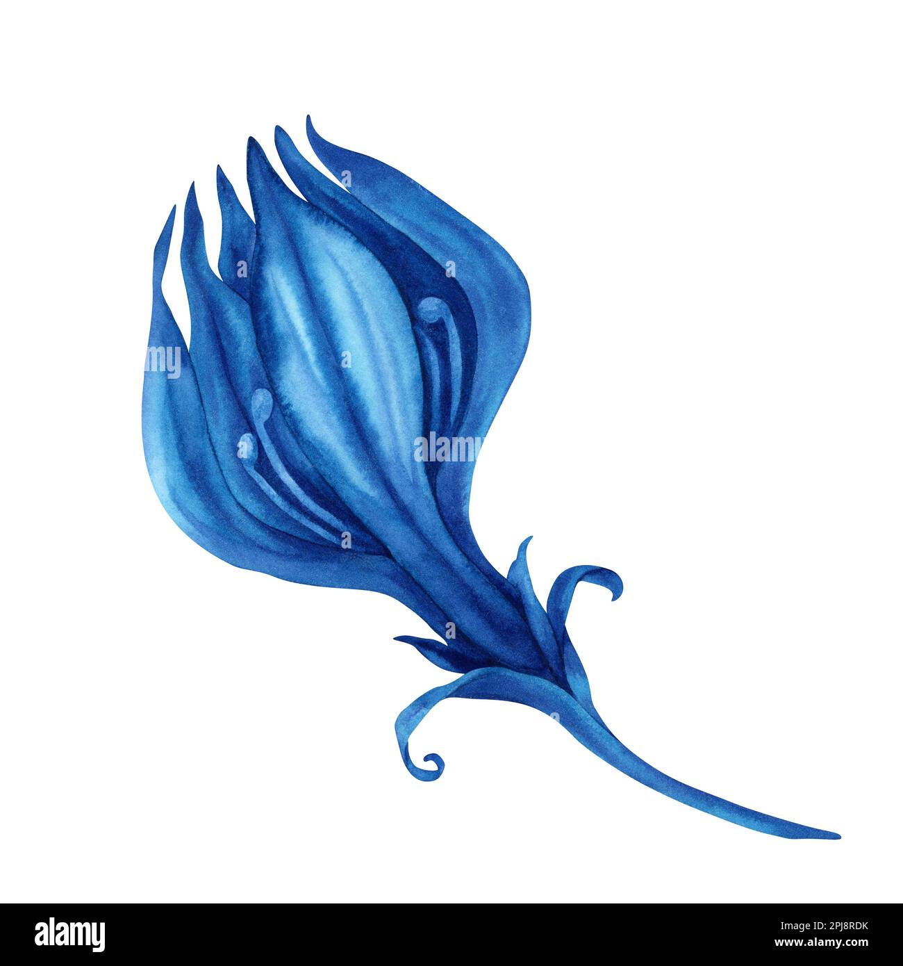 Hand-drawn watercolor illustration of abstract blue magic flower for ...