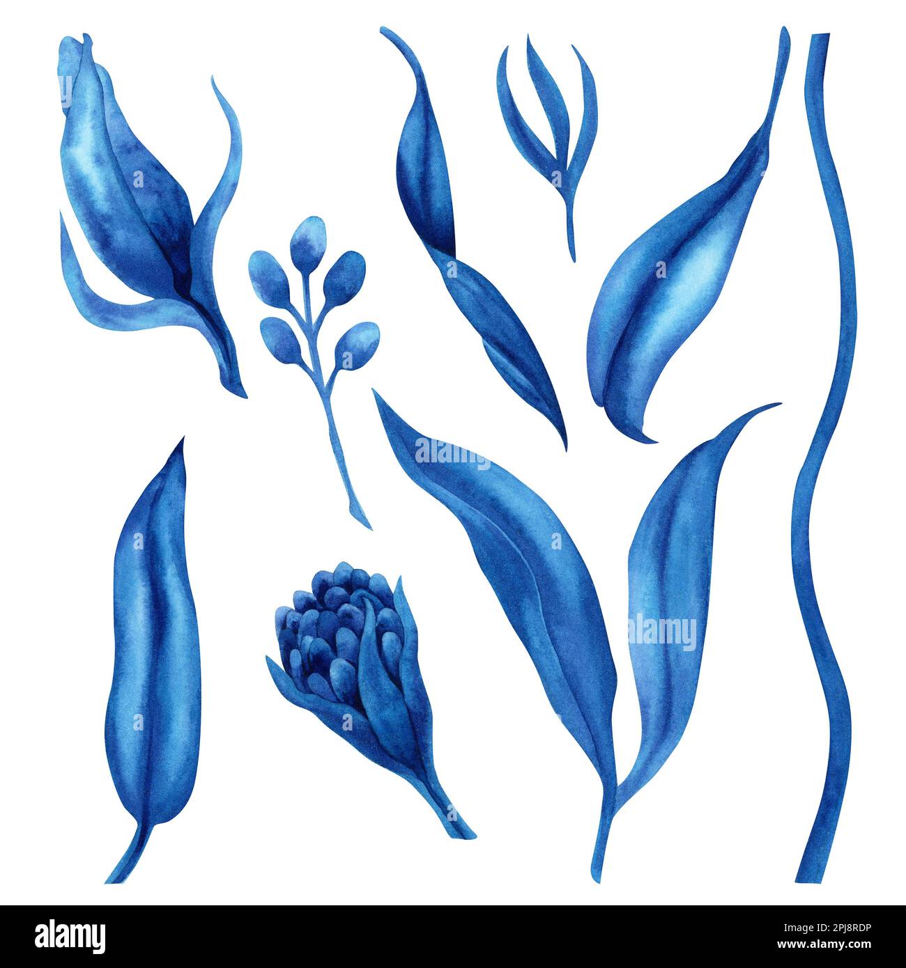 Hand-drawn watercolor illustration of abstract blue magic flowers for ...