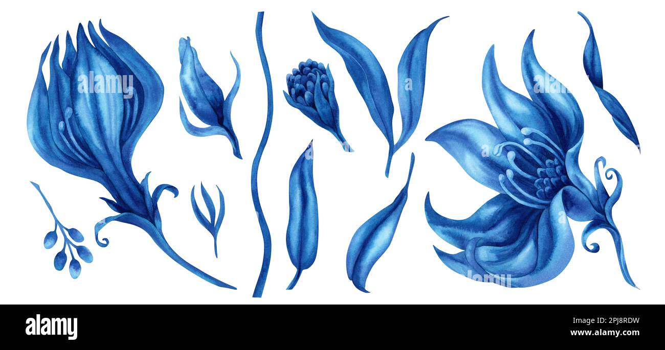 Hand-drawn watercolor illustration of abstract blue magic flowers for ...