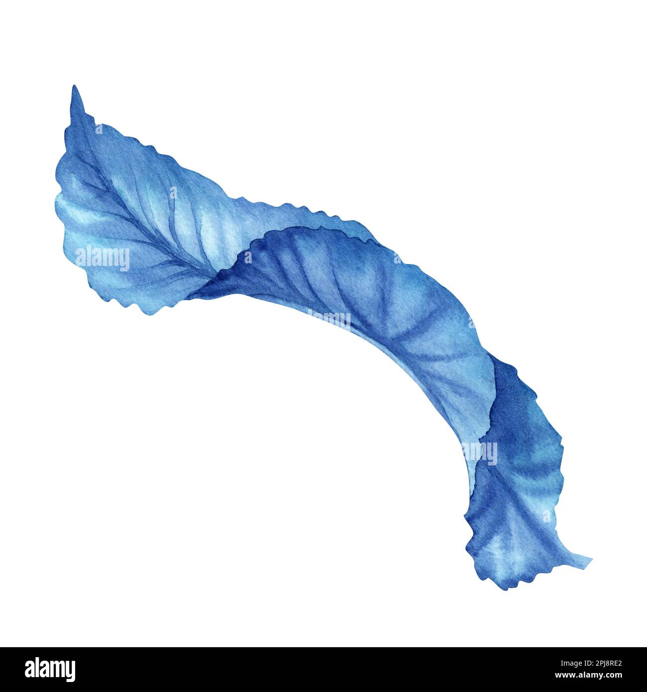 Hand-drawn watercolor illustration of abstract blue magic leaf for ...