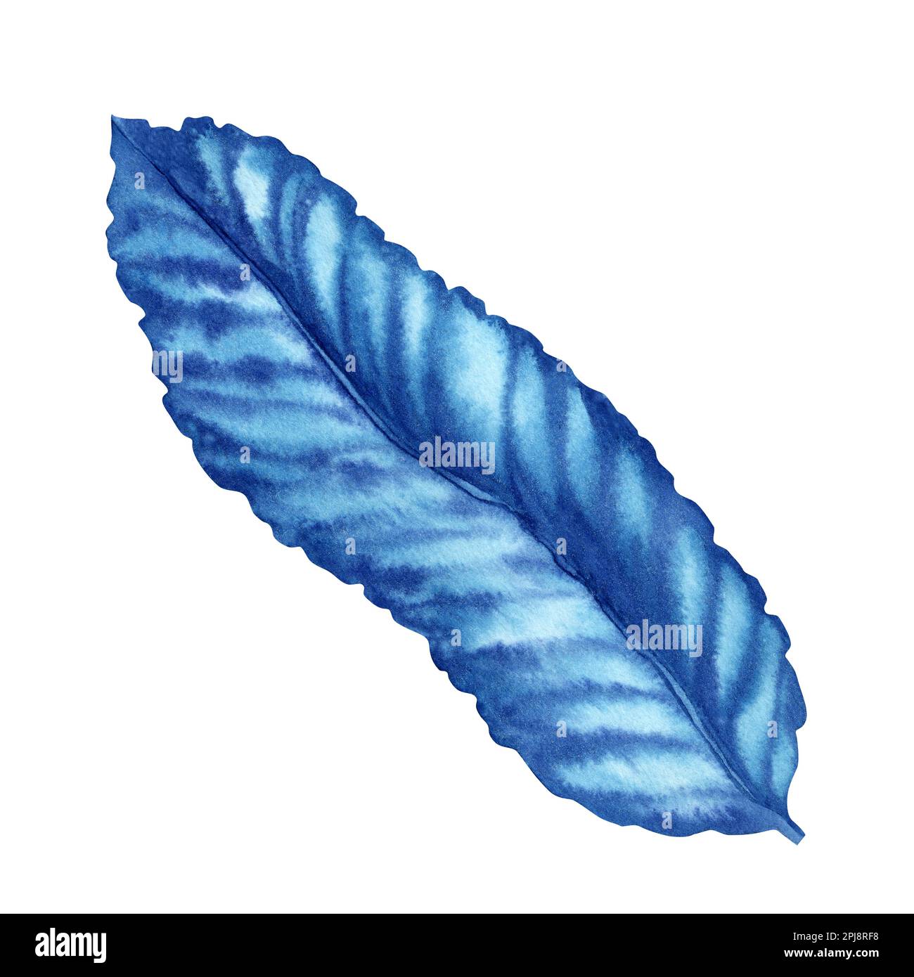 Hand-drawn watercolor illustration of abstract blue magic leaf for ...