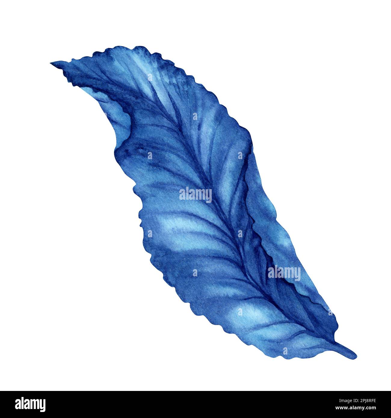 Hand-drawn watercolor illustration of abstract blue magic leaf for ...