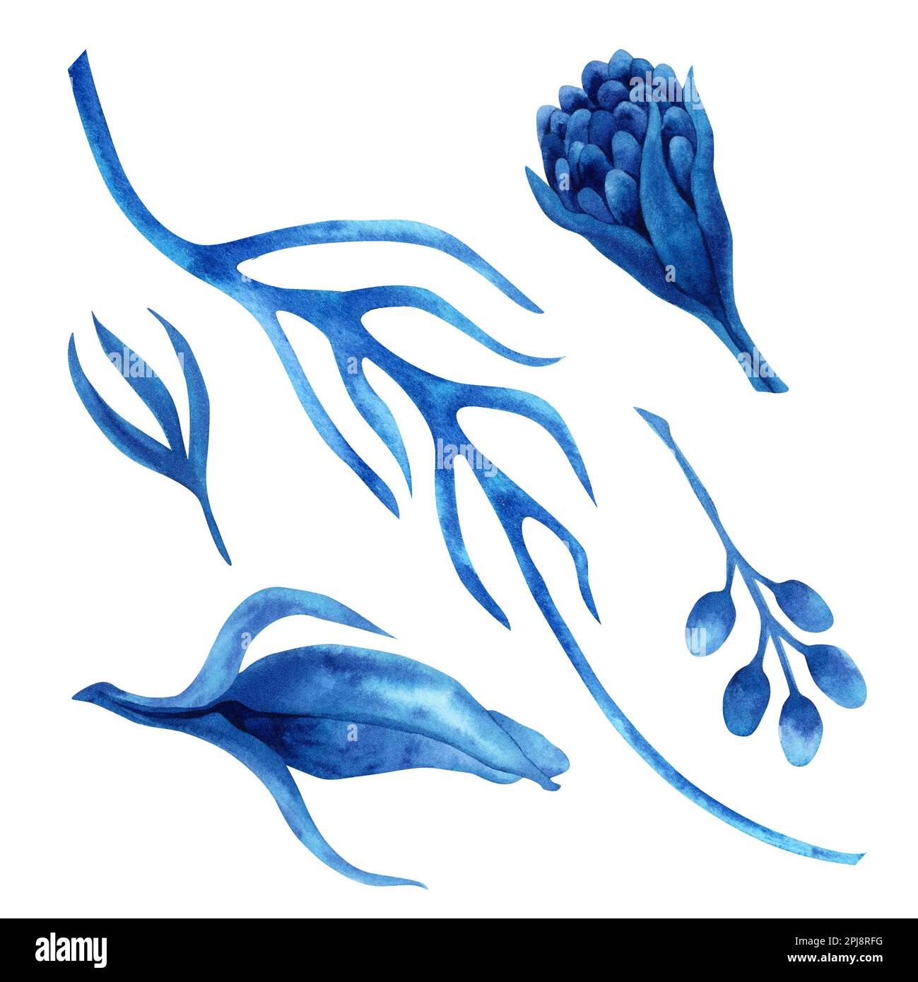 Hand-drawn watercolor illustration of abstract blue magic leaf for ...