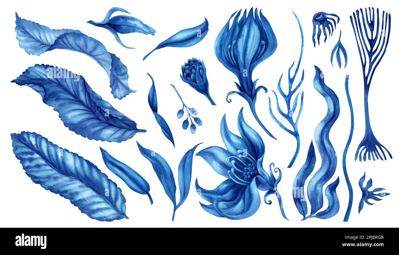 Hand-drawn watercolor illustration of abstract blue magic leaf for ...