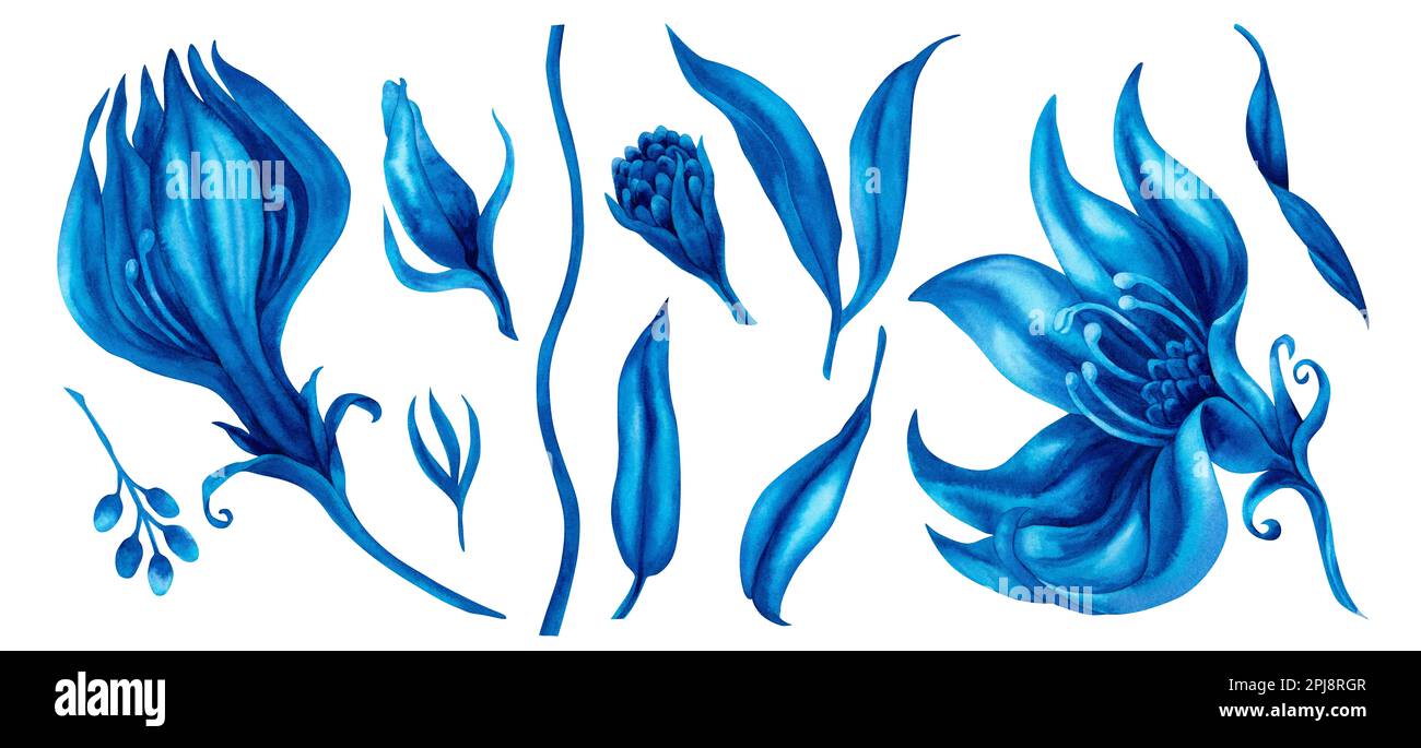 Hand-drawn watercolor illustration of abstract blue magic flowers for ...