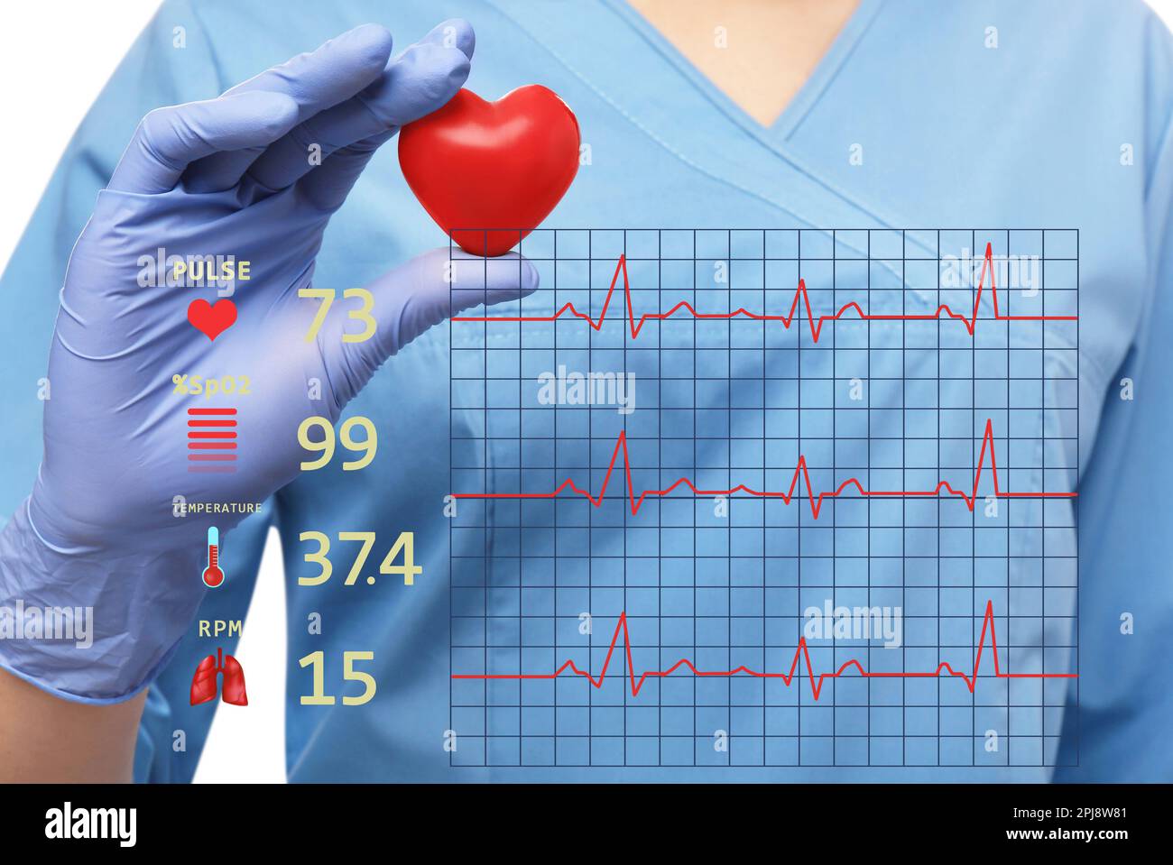 Closeup view of doctor holding red heart and illustration of ...