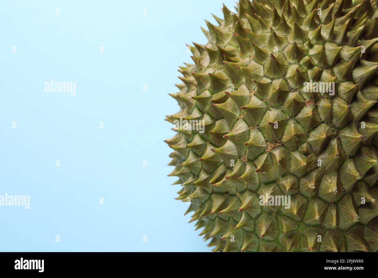 Fresh ripe durian on light blue background, closeup. Space for text ...