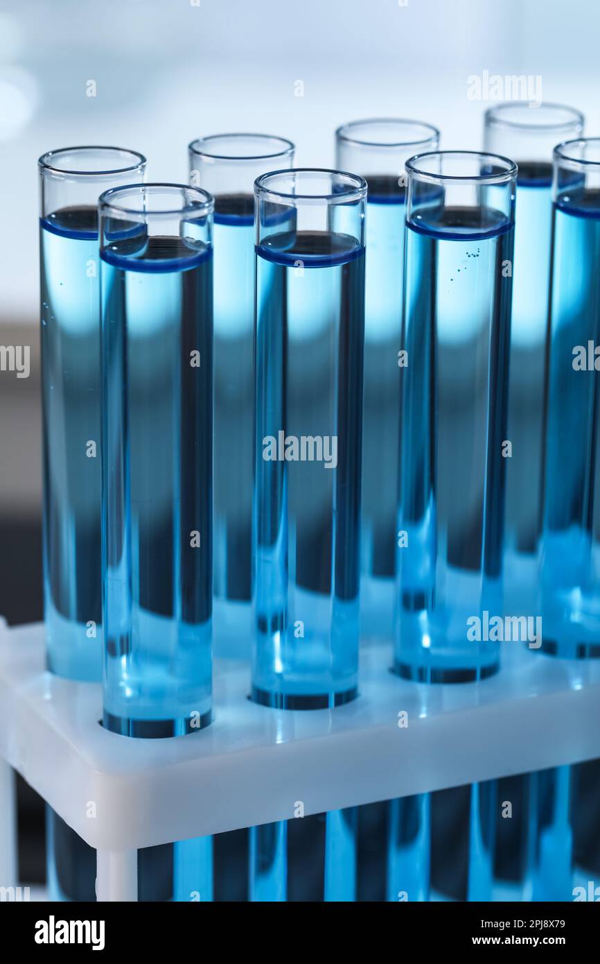 Test tubes with reagents in rack, closeup. Laboratory analysis Stock ...