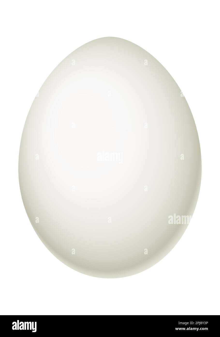 Egg - illustration of white egg on white background Stock Vector Image ...
