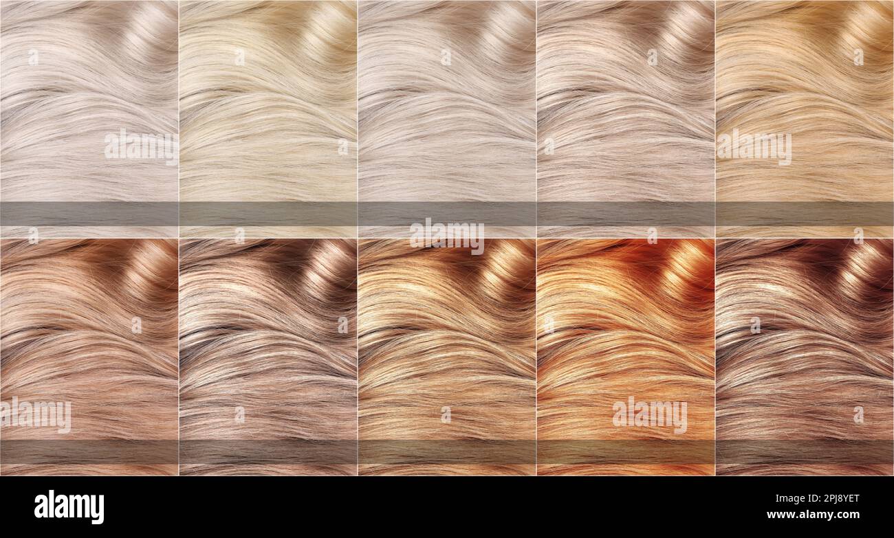Hair colors palette, top view. Various swatches Stock Photo - Alamy