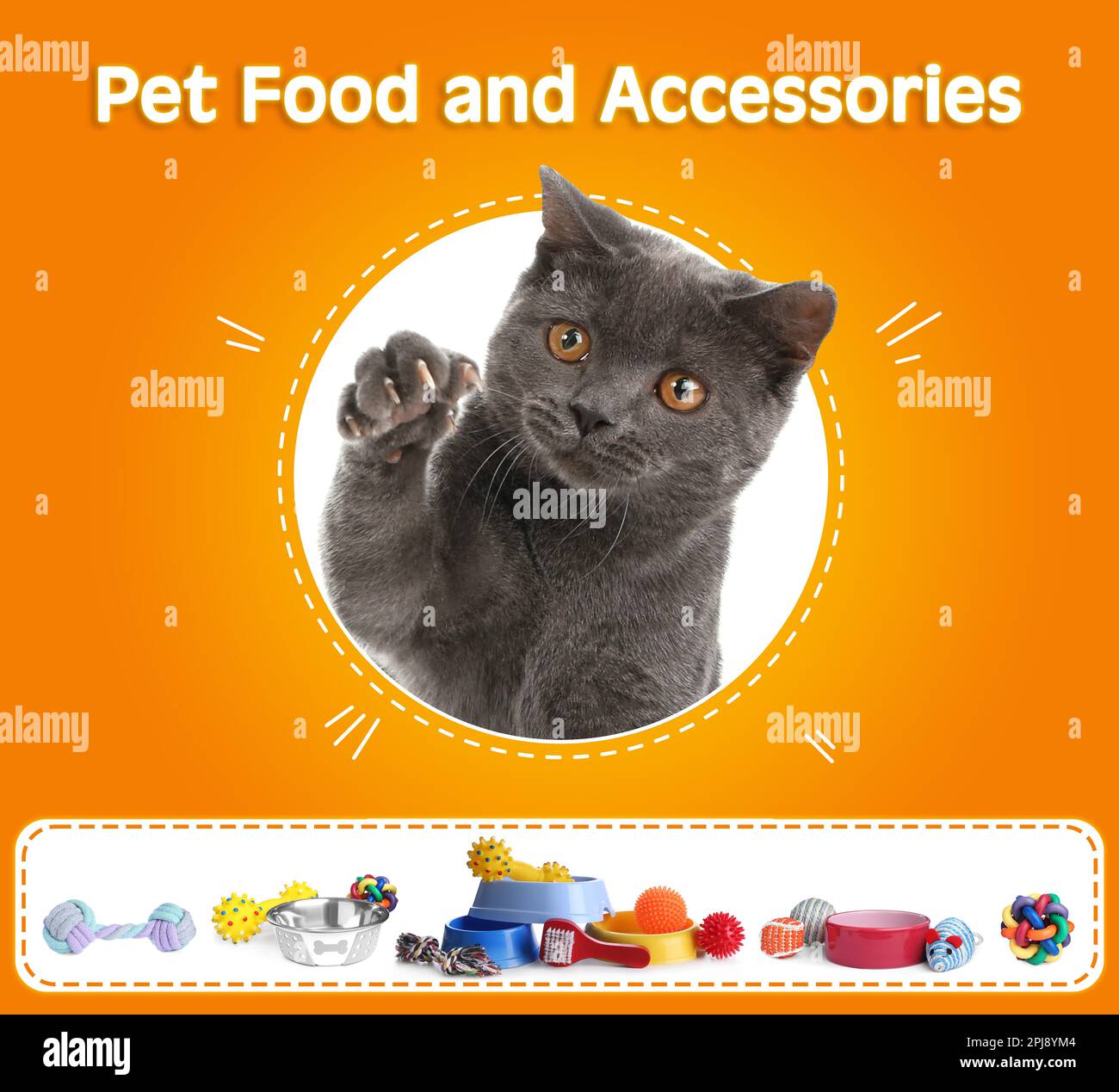 Advertising poster design for pet shop. Cute cat and different ...