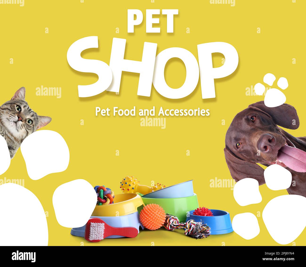 Advertising poster design for pet shop. Cute cat, dog and different ...