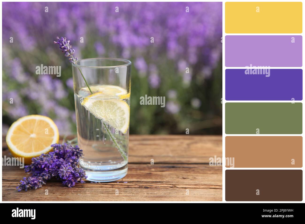 Color palette healthy fruit slices Cut Out Stock Images & Pictures - Alamy